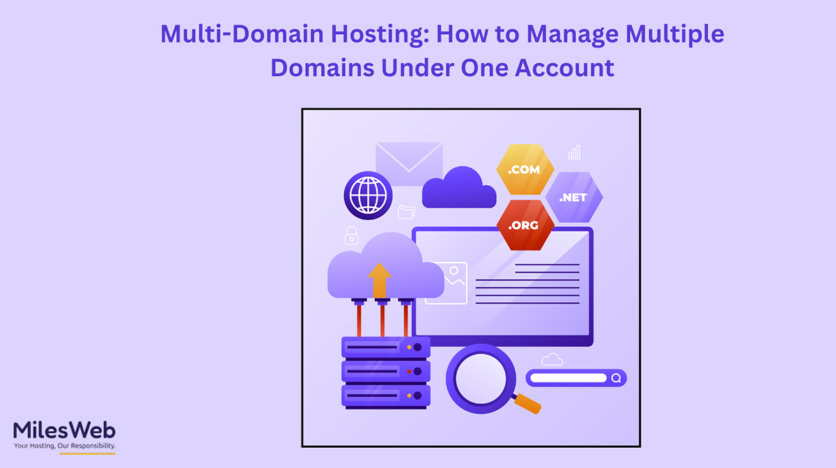 Multi-Domain Hosting: How to Manage Multiple Domains Under One Account ...